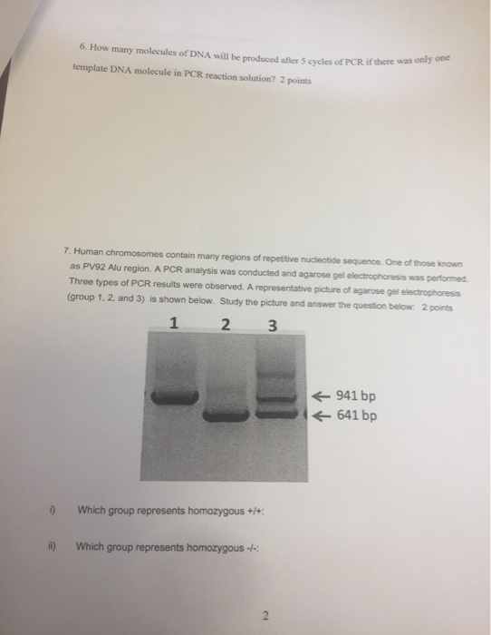Solved What is the function of Arabinose in transformation | Chegg.com