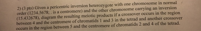 Solved 2) (3 pts) Given a pericentric inversion heterozygote | Chegg.com