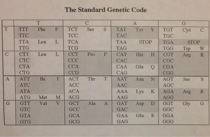 Solved Below are the sequences of wildtype and mutant | Chegg.com