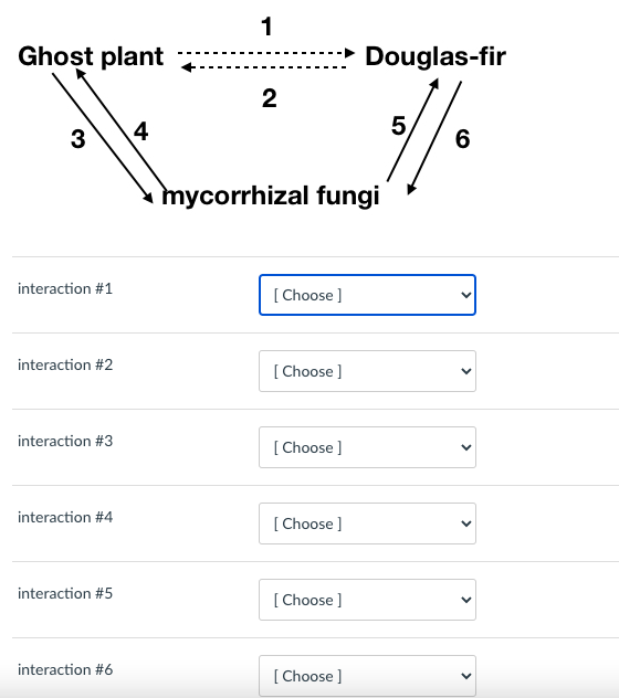 Solved interaction \#2 interaction \#3 interaction \#4 | Chegg.com