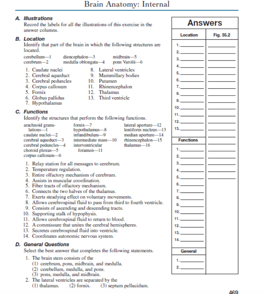 Solved Brain Anatomy: Internal Answers Location Fig. 35.2 1 | Chegg.com