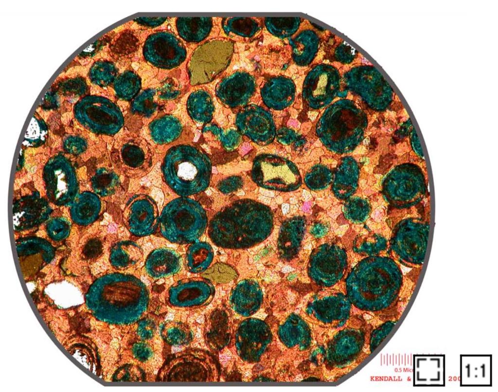 Solved What orthochem and allochem structures are shown | Chegg.com