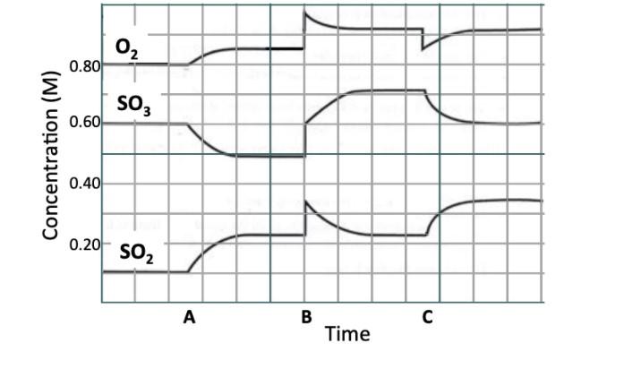 Solved The graph below shows how concentrations change over | Chegg.com