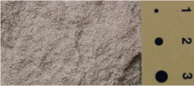 Solved CM Grain Size Scale 1234Choose the correct answer. | Chegg.com