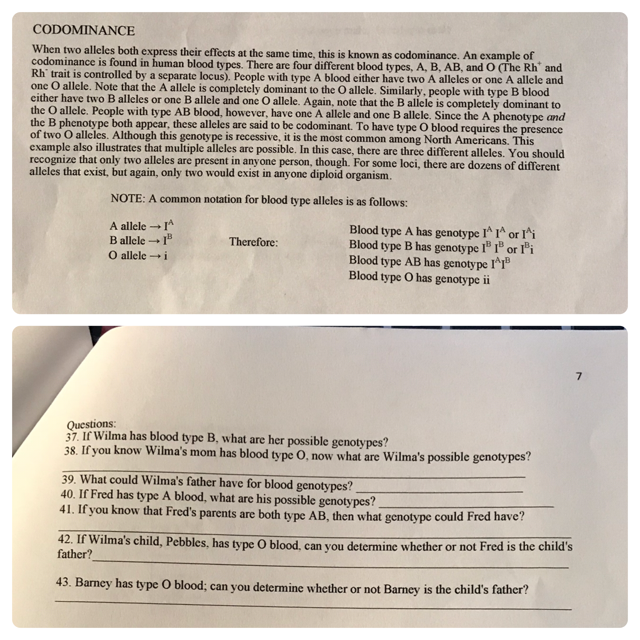 Solved CODOMINANCE hen two alleles both express their | Chegg.com