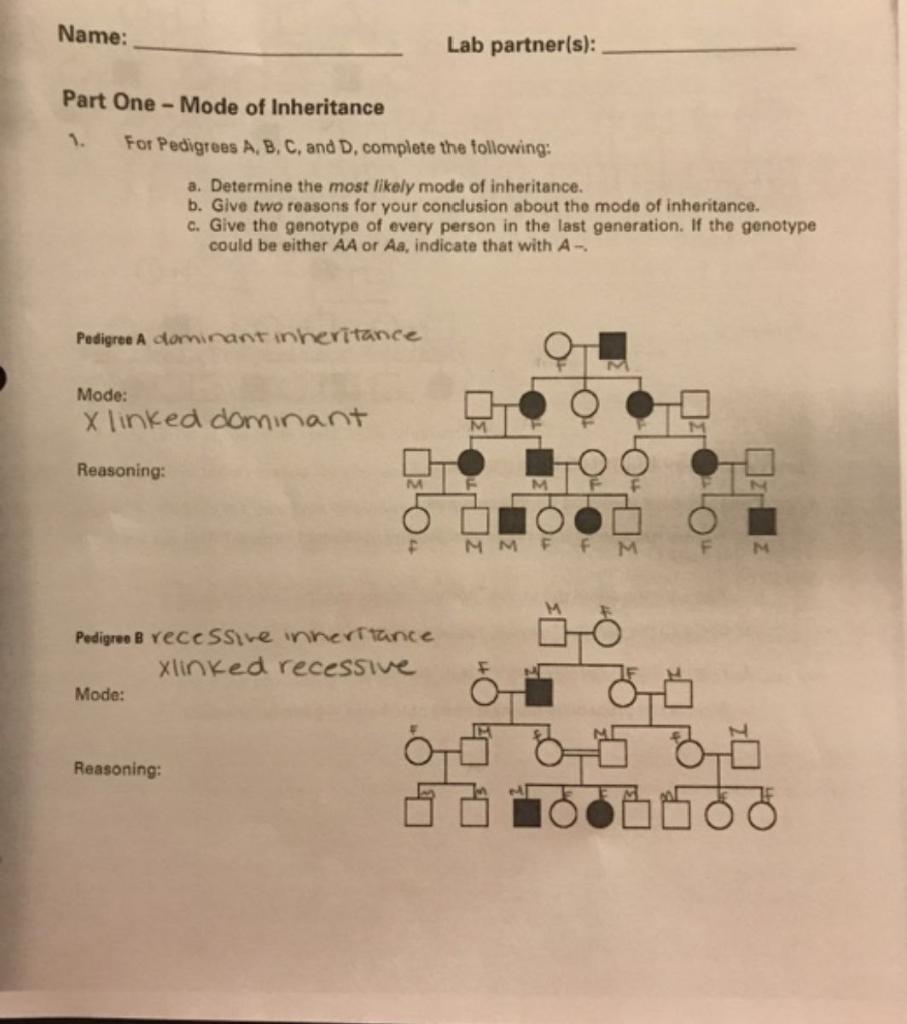Solved Name: Lab partner(s): Part One - Mode of Inheritance | Chegg.com