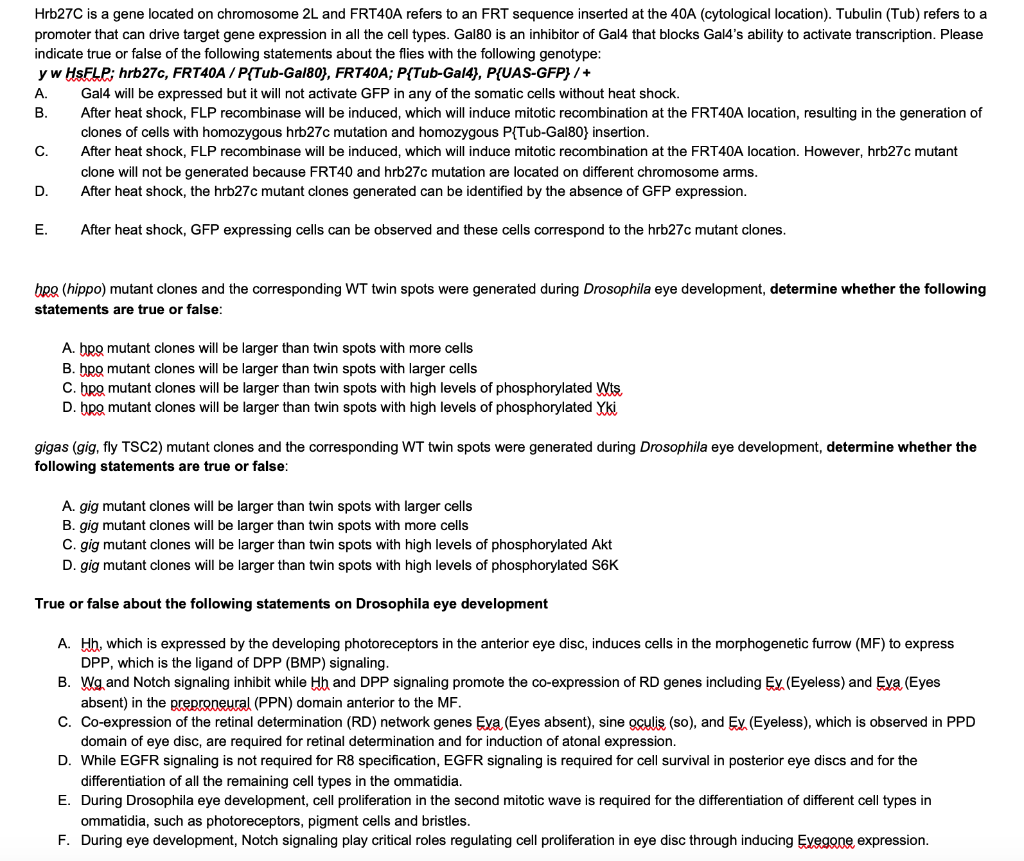 solved-hrb27c-is-a-gene-located-on-chromosome-2-l-and-frt40a-chegg
