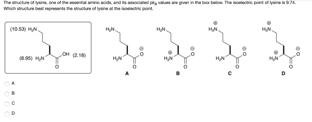 Solved The structure of lysine, one of the essential amino | Chegg.com