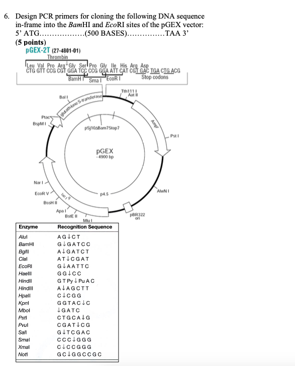 Solved 6. Design PCR primers for cloning the following DNA | Chegg.com