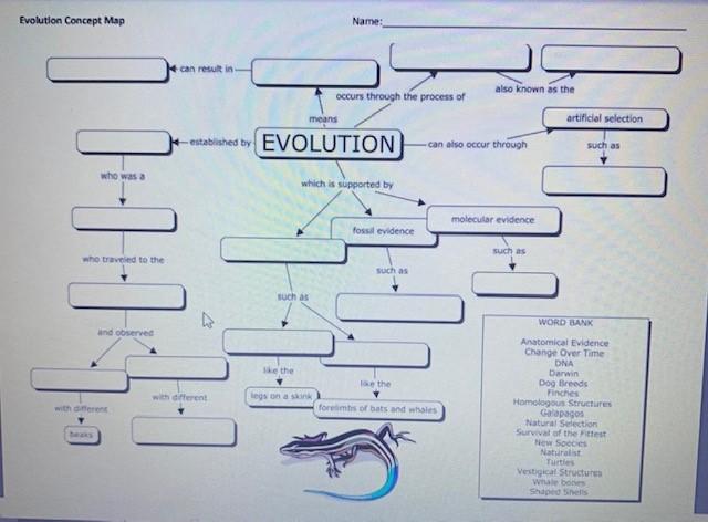 Solved Evolution Concept Map Name: can result in also known | Chegg.com