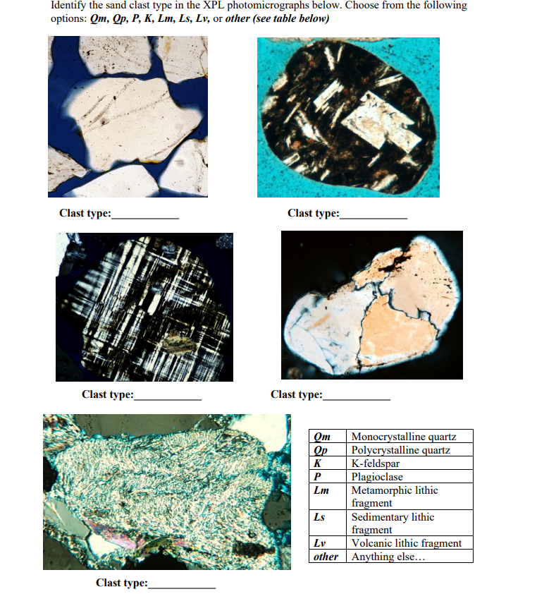 Solved Identify the sand clast type in the XPL | Chegg.com