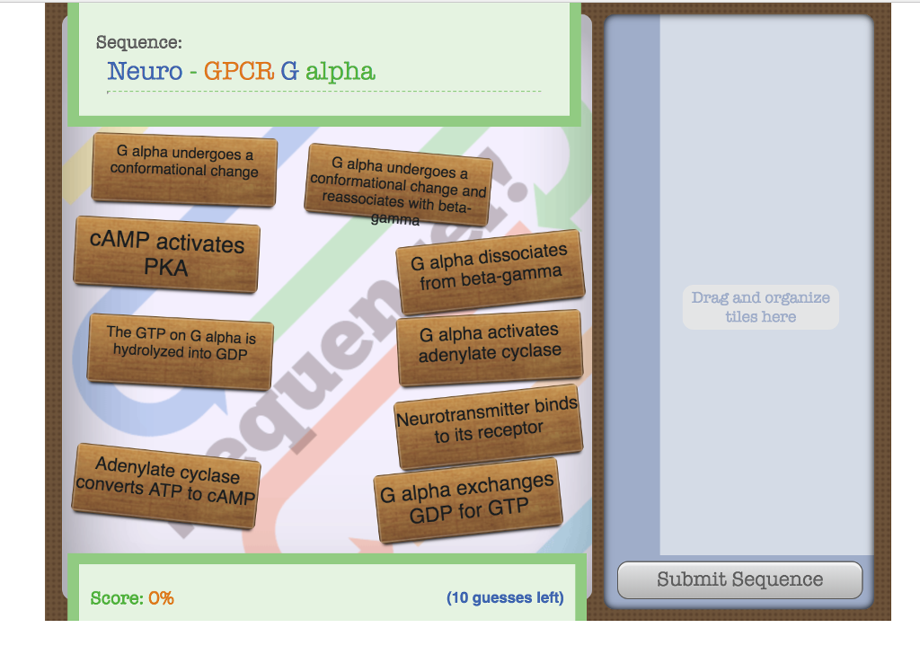 Solved Sequence: Neuro - GPCR G alpha G alpha undergoes a | Chegg.com