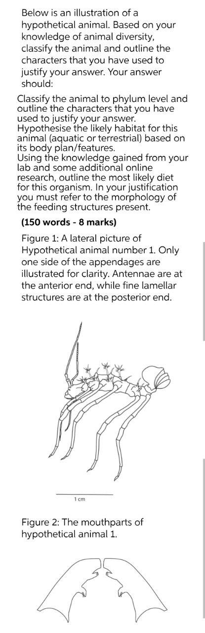 Solved Below is an illustration of a hypothetical animal. | Chegg.com