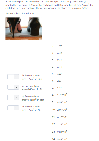 Solved Estimate the pressure exerted on the floor... Answer | Chegg.com