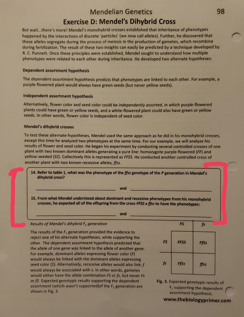 Solved: Mendelian Genetics 94 Exercise B: Mendel's Monohyb... | Chegg.com