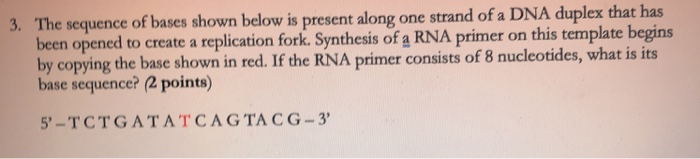 Solved e sequence of bases shown below is present along one | Chegg.com