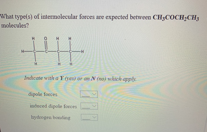 Solved What type(s) of intermolecular forces are expected | Chegg.com