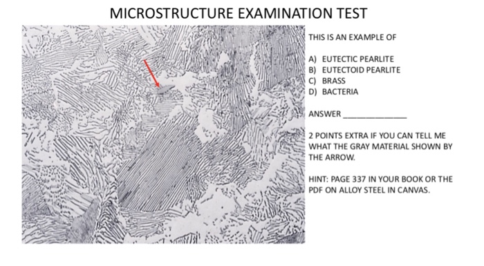 Solved MICROSTRUCTURE EXAMINATION TEST THIS IS AN EXAMPLE OF | Chegg.com