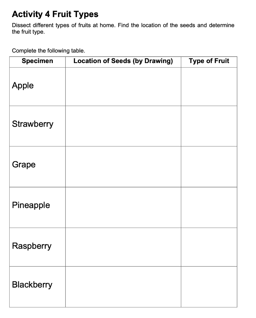 Solved Activity 4 Fruit Types Dissect different types of | Chegg.com