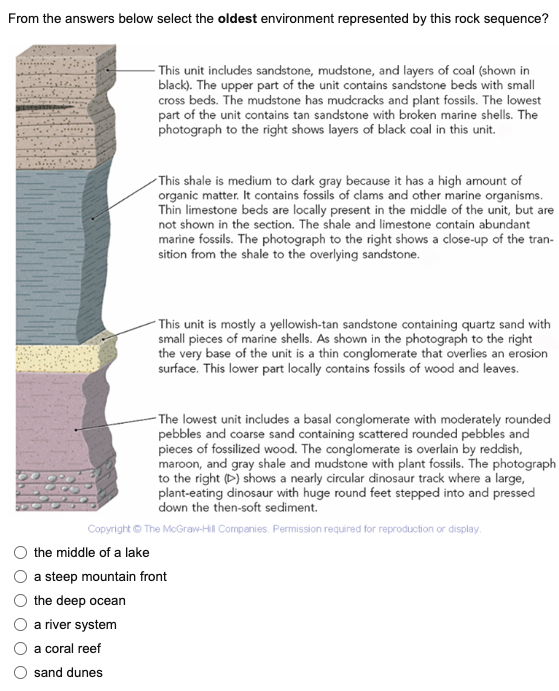 Solved From the answers below select the oldest environment | Chegg.com