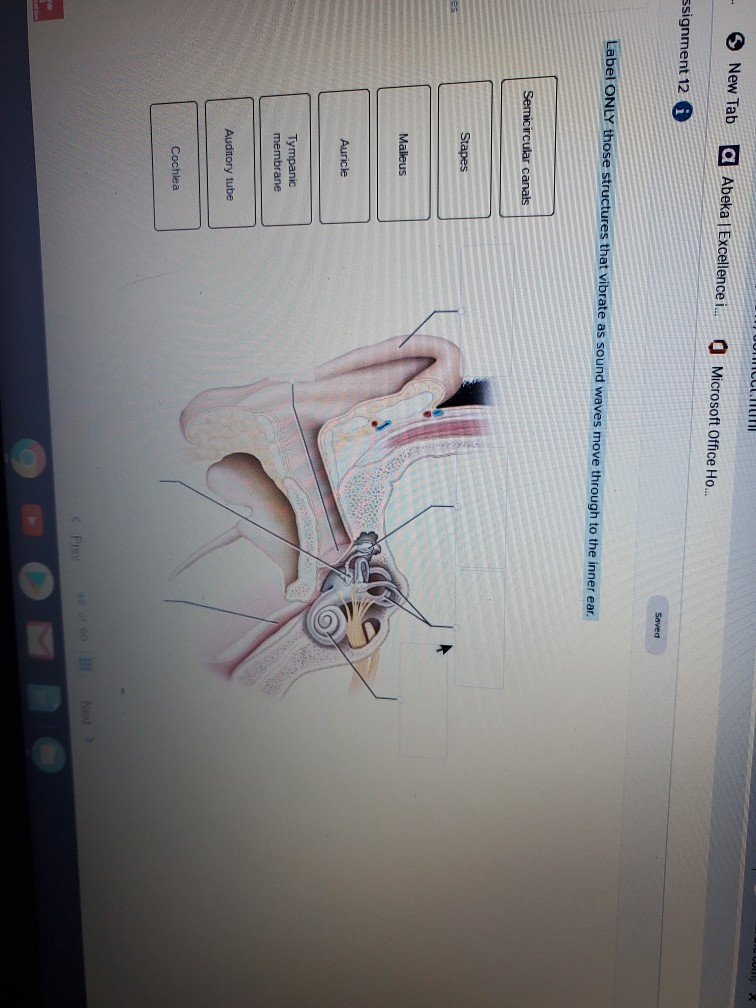 Solved CULIT - New Tab a Abeka | Excellencei. Microsoft | Chegg.com