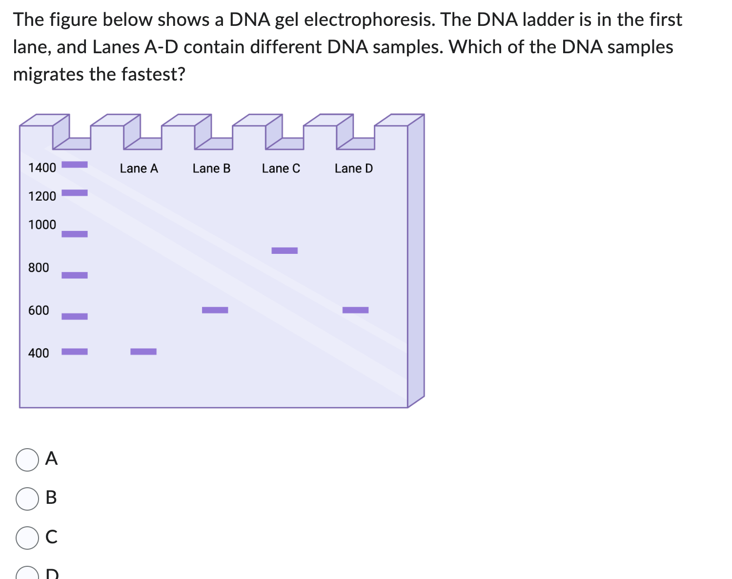 Solved The figure below shows a DNA gel electrophoresis. The | Chegg.com