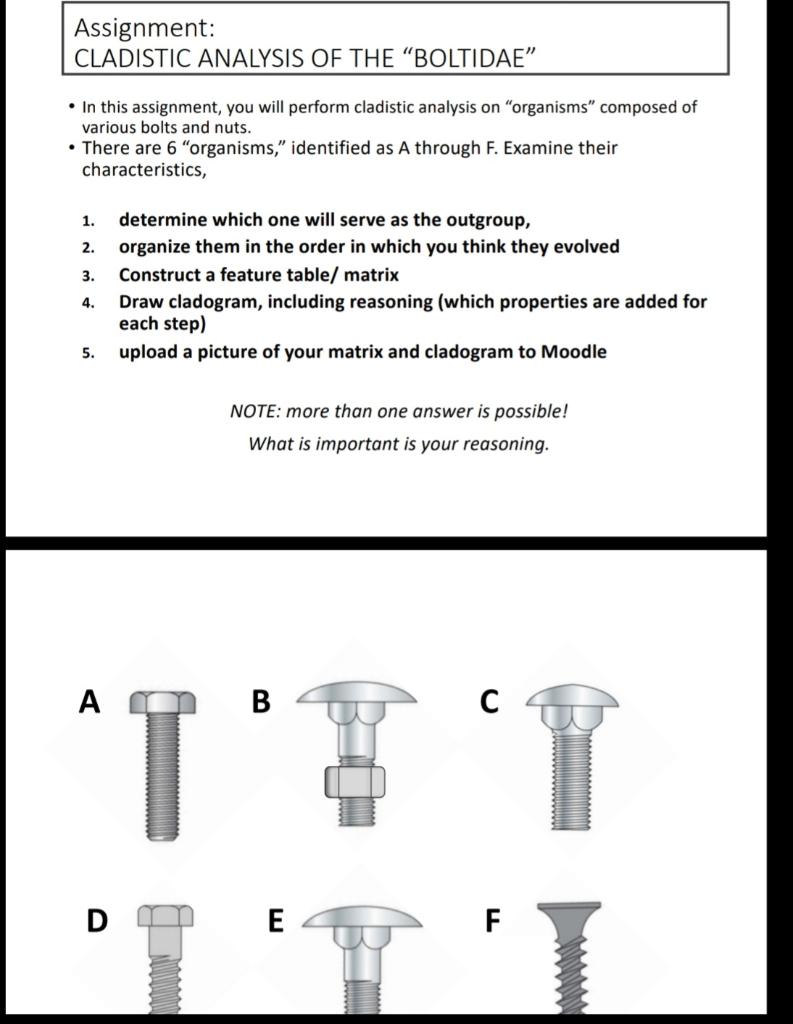 Solved Assignment: CLADISTIC ANALYSIS OF THE Solved Assignment: CLADISTIC ANALYSIS OF THE