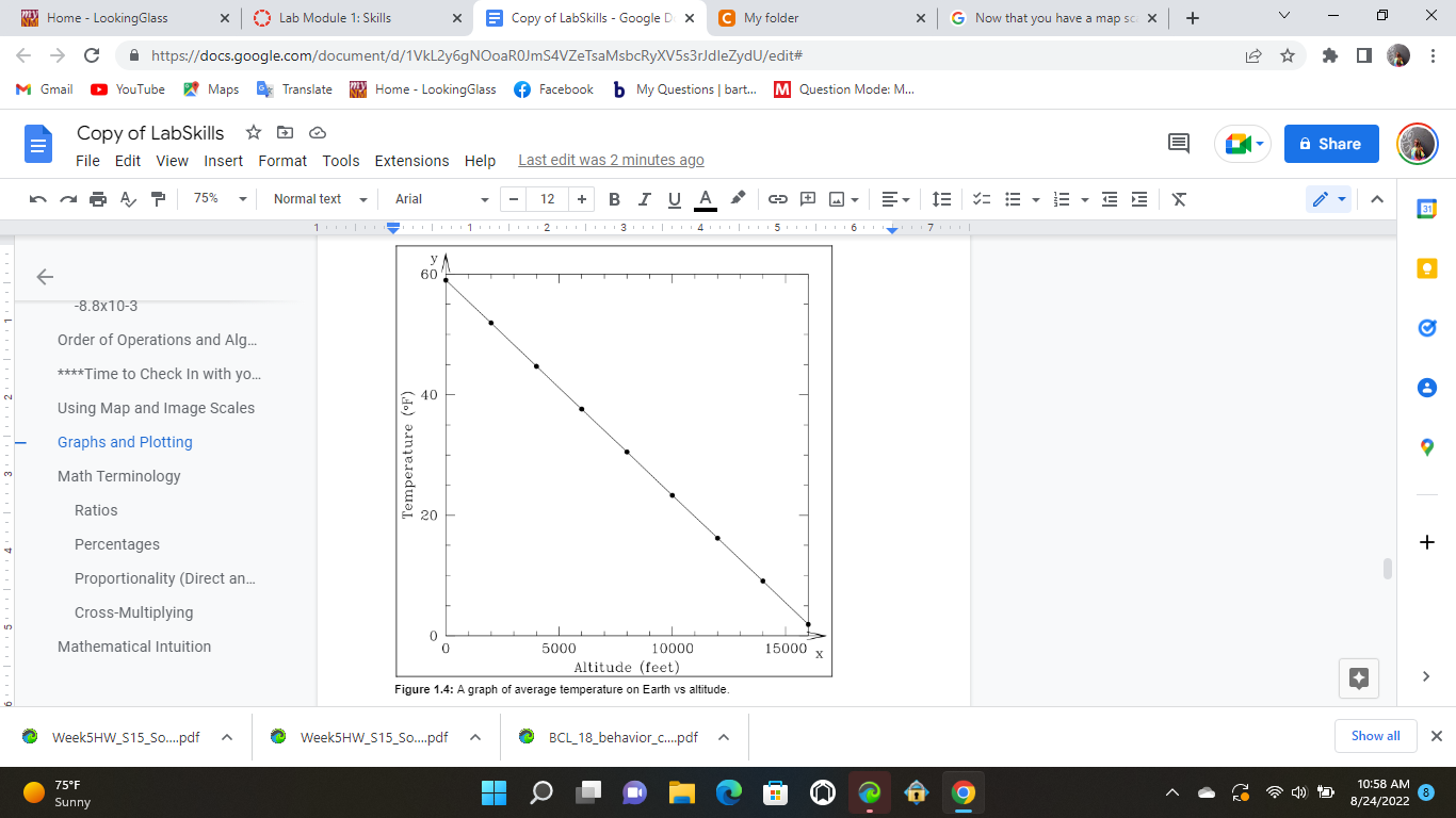 Solved Order of Operations and Alg... ⋆⋆⋆⋆ Time to Check In | Chegg.com