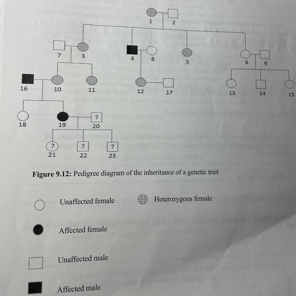 Solved Figure 9.12: Pedigree diagram of the inheritance of a | Chegg.com