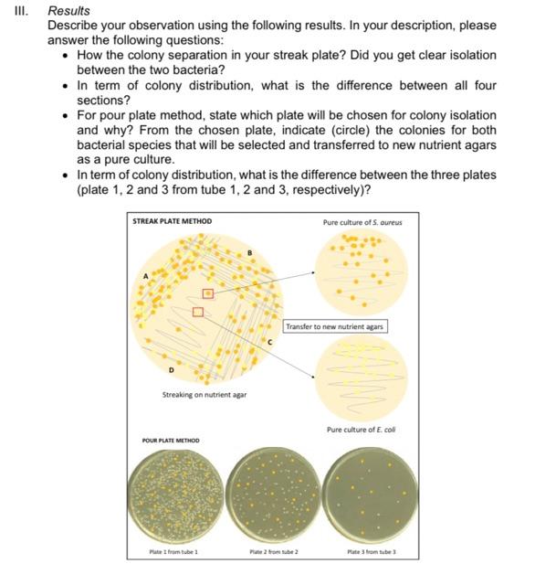Solved III. Results Describe your observation using the | Chegg.com
