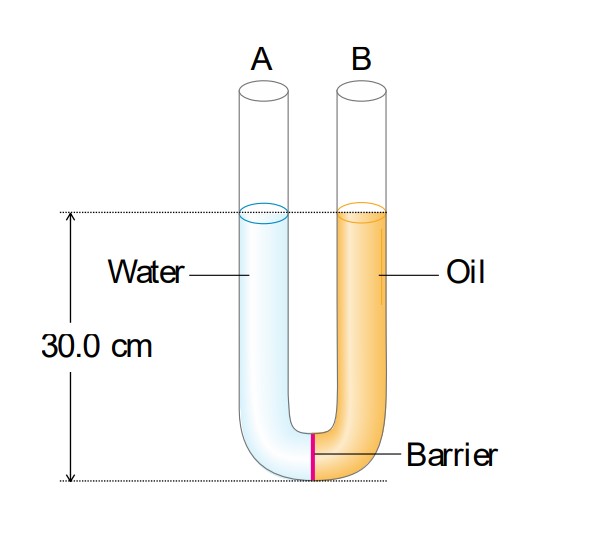 Solved a. Determine the final height of the liquid column on | Chegg.com