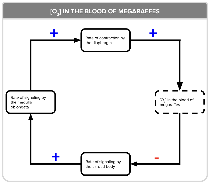 Directions: Use Figure 8 to answer questions 11-14. | Chegg.com