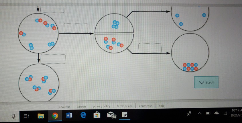 Solved label each transition in this flowchart as a chemical | Chegg.com