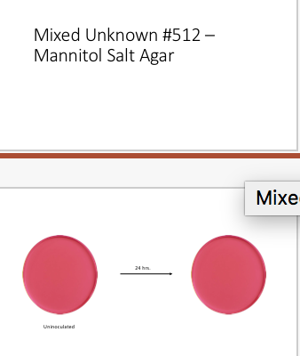 Solved Mixed Unknown Identification Form Unknown 'Patient | Chegg.com