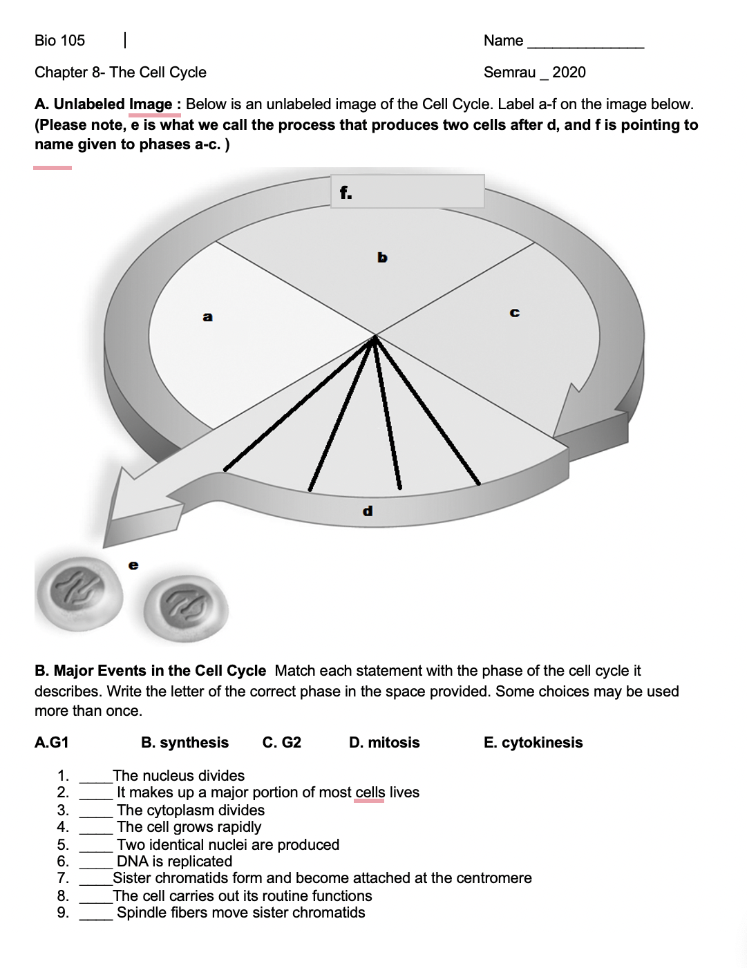Solved A. Unlabeled Image : Below is an unlabeled image of | Chegg.com