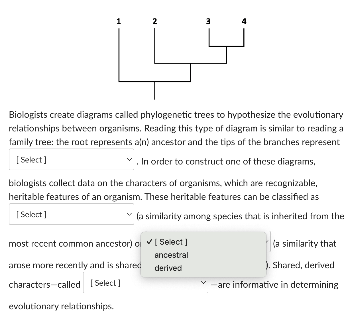Solved Biologists create diagrams called phylogenetic trees | Chegg.com
