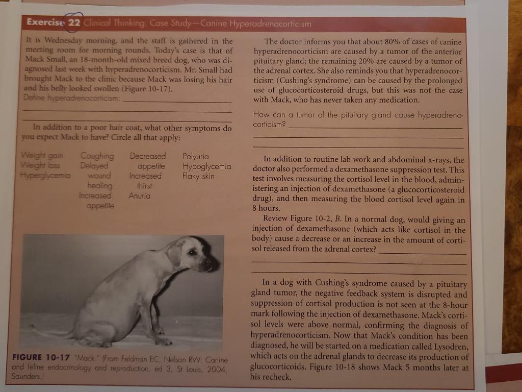 Solved Exercise 22 Clinical Thinking: Case Study --Canine | Chegg.com