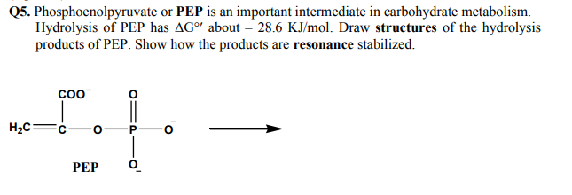 Solved Q5. Phosphoenolpyruvate or PEP is an important | Chegg.com