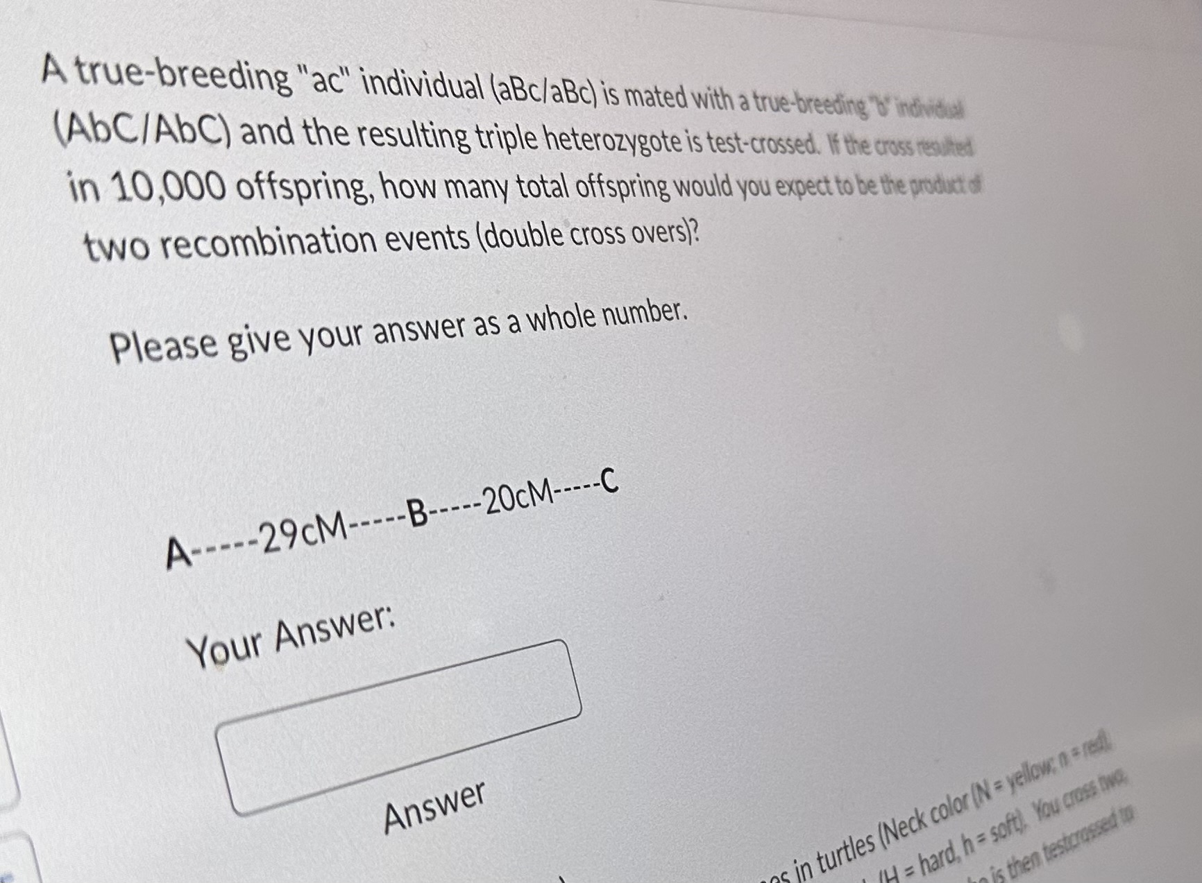 Solved A true-breeding "ac" individual (aBclaBc) is mated | Chegg.com