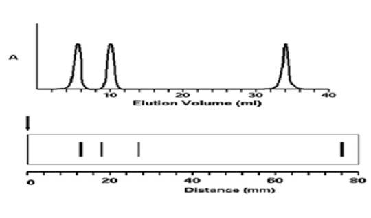 Solved Two different experiments were performed to determine | Chegg.com