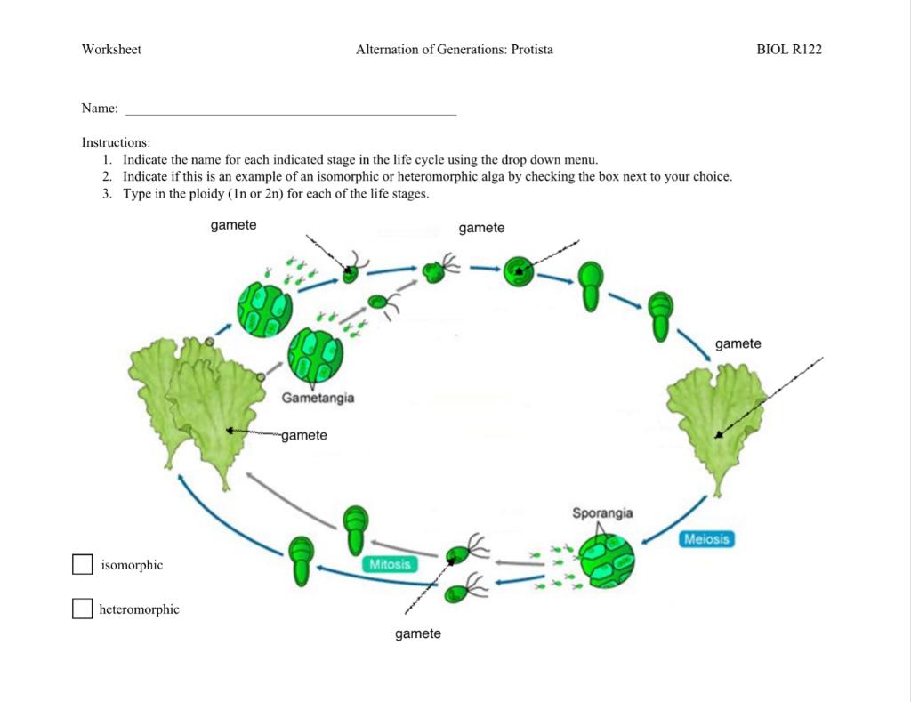 Solved Instructions: 1. Indicate the name for each indicated | Chegg.com
