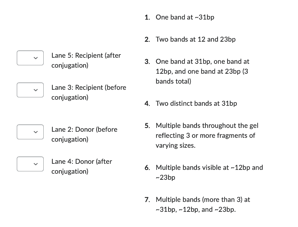 Solved If you were told that the heterozygous merodiploid | Chegg.com
