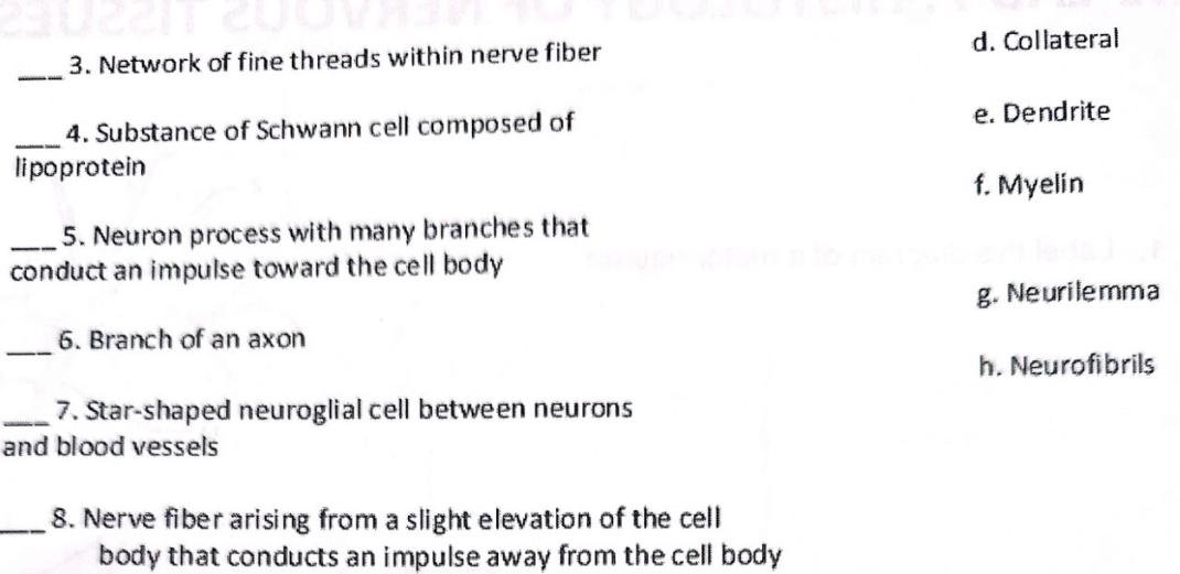 Solved 3. Match the terms in column B with the descriptions | Chegg.com
