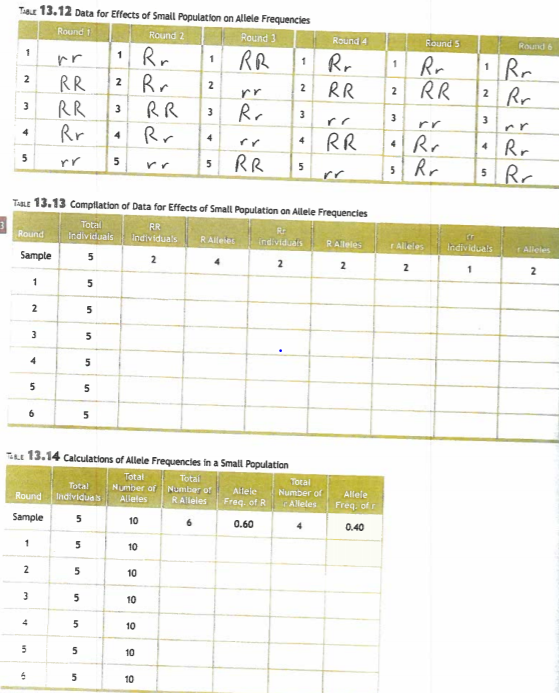 Solved Effects of Small Population on Allele Frequencies tis | Chegg.com