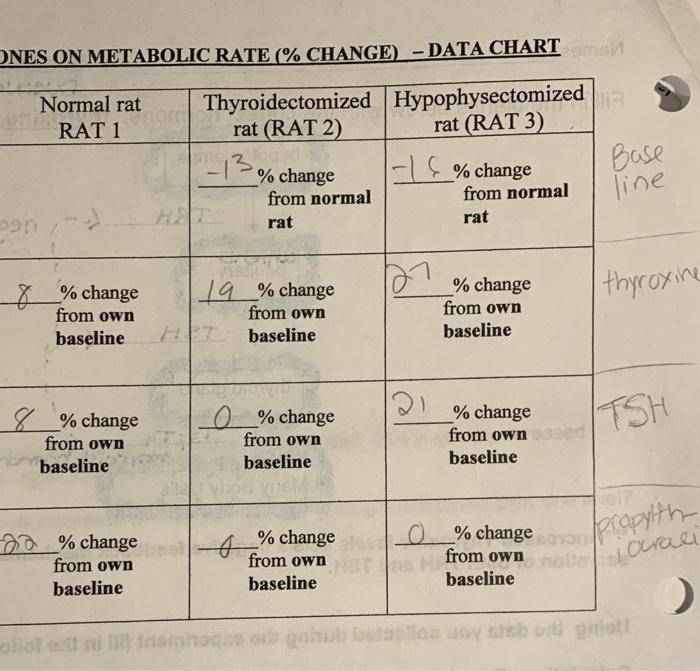 Solved Endocrine lab with rats .. effects of hormones on | Chegg.com