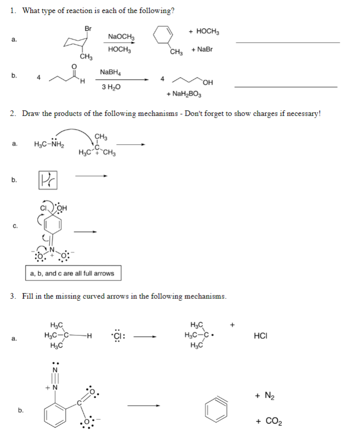 Solved Can you answer all these questions pleaseWhat tvpe of | Chegg.com