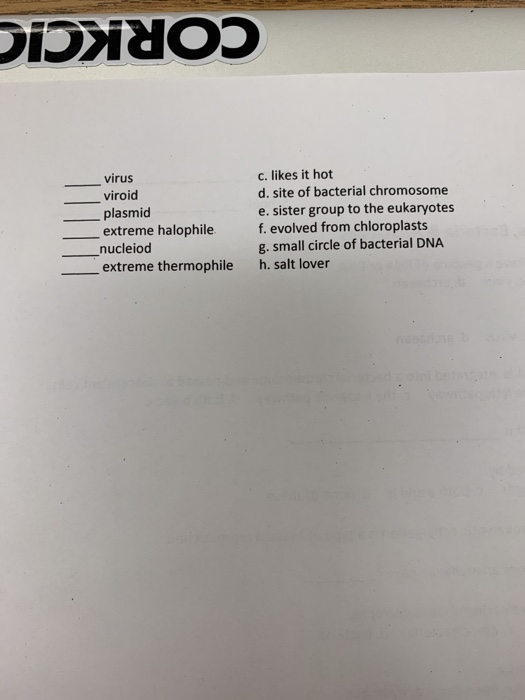 Solved BIOL 1407 Name: School: Chapter 19 - Viruses, | Chegg.com