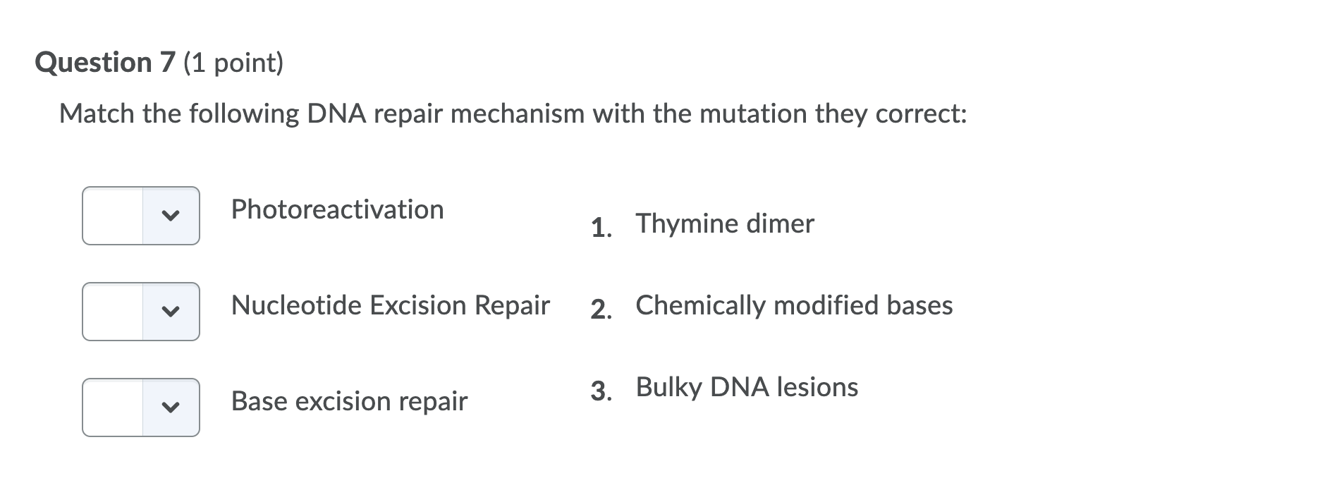 Solved Question 7 (1 point) Match the following DNA repair | Chegg.com