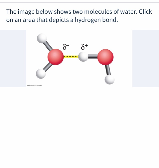 Solved The image below shows two molecules of water. Click | Chegg.com