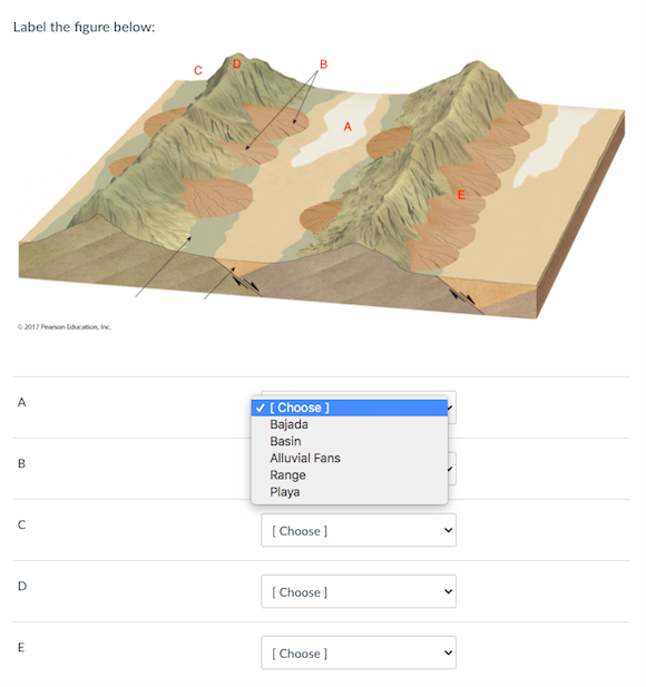 Solved Label the figure below: | Chegg.com